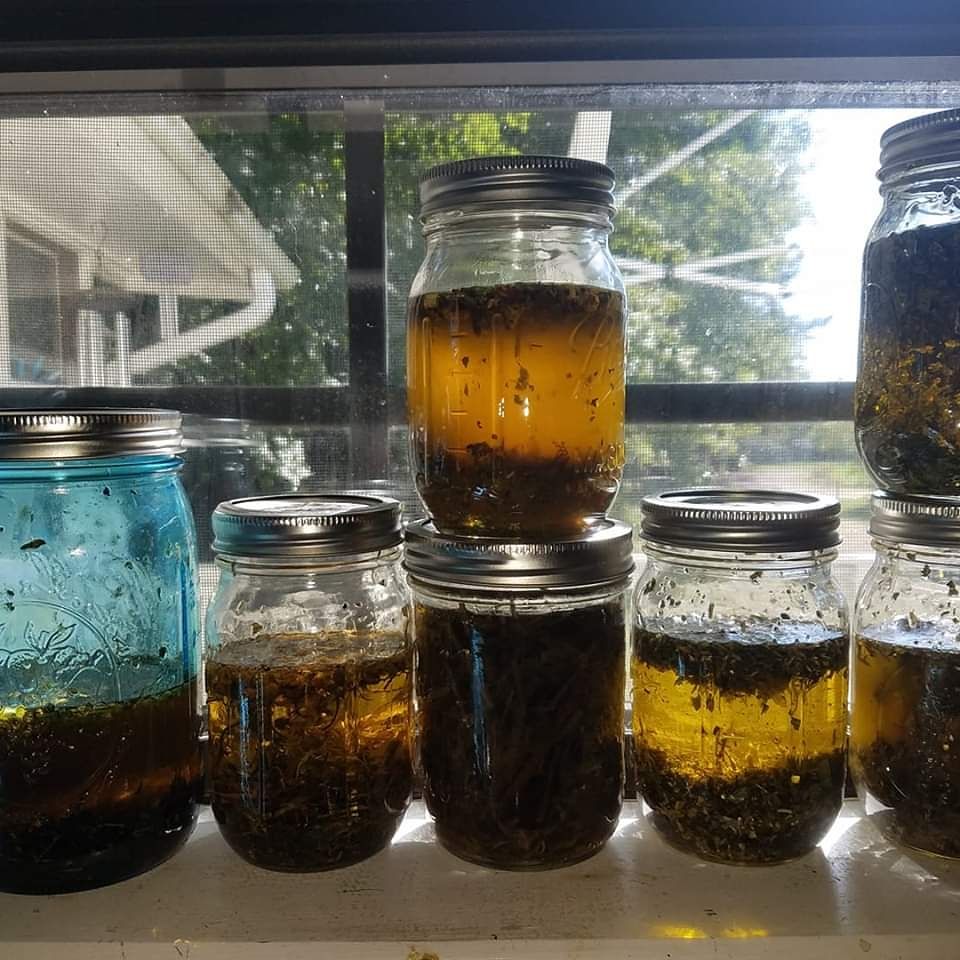 How to Make an Infused Oil – Oak Forest Herbals